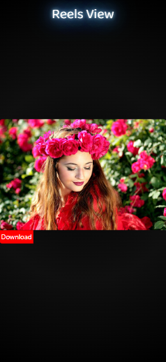 GitHub - dev-amrit460/Gallery-web-app: Implementation of gallery