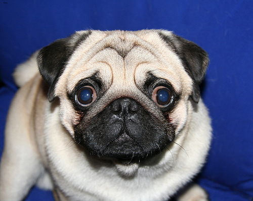 GitHub - compfee/CV2023