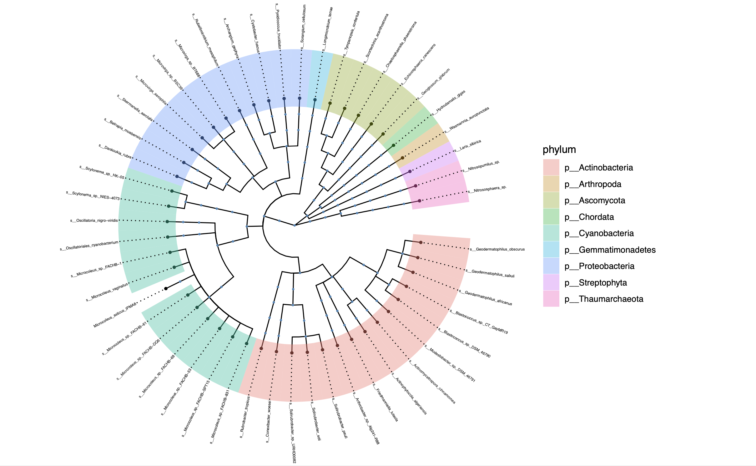 How can I add colored tile under the tip label? · Issue #25 · YuLab-SMU/ggtreeExtra · GitHub