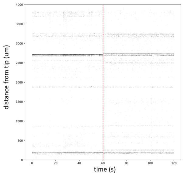 Question Motion Estimation Parameters And Results Interpretation · Issue 1382 · Spikeinterface
