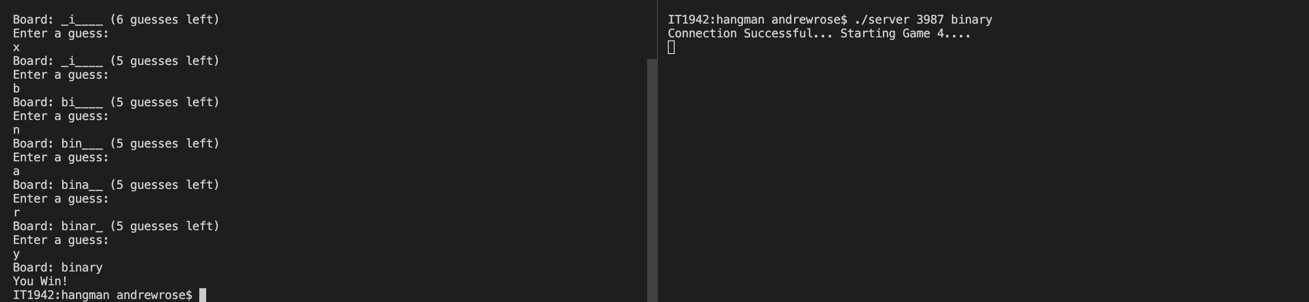 GitHub - Andrew-Rose1/hangman: A game of hangman between a server and client utilizing c sockets.