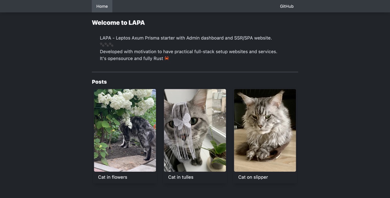 GitHub - alexichepura/lapa: Leptos Axum Prisma starter with Admin dashboard and SSR/SPA website