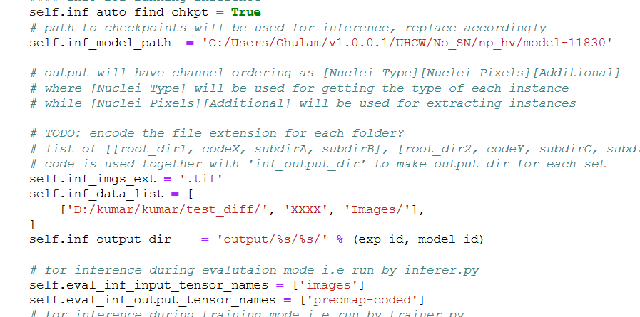 errors running inference · Issue #13 · vqdang/hover_net · GitHub