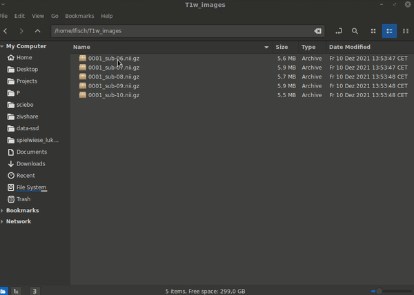 GitHub - wwu-mmll/deepbet: Fast brain extraction using neural networks