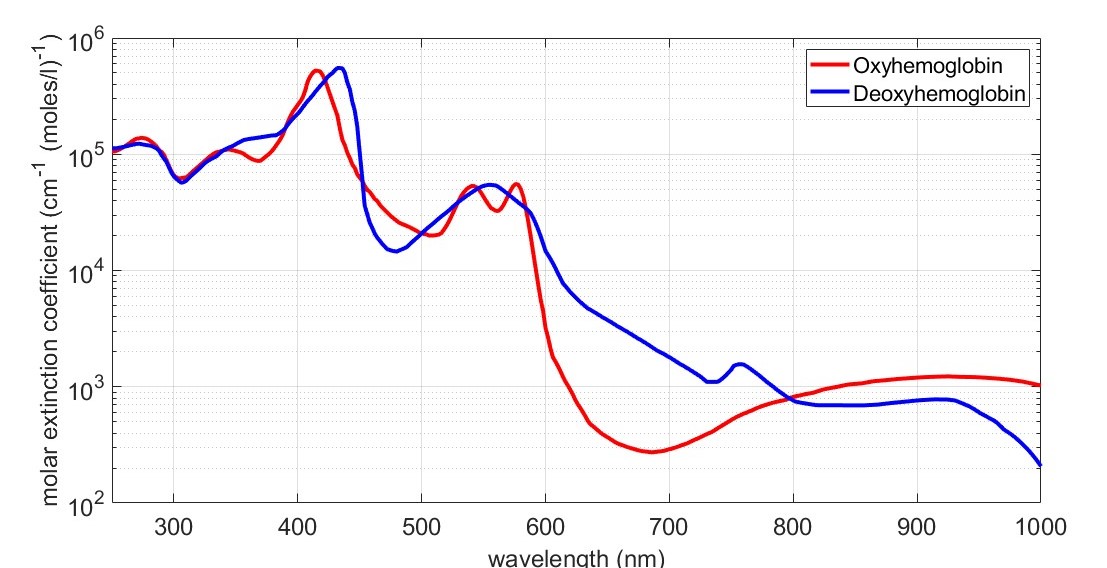 GitHub - larryTheran/PPG-BioParameter-Estimation: Improvement of the ...