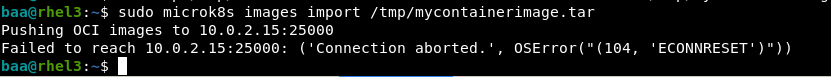 Sideloading Image Gives Connection Aborted Oserror104 Econnreset Error · Issue 3051