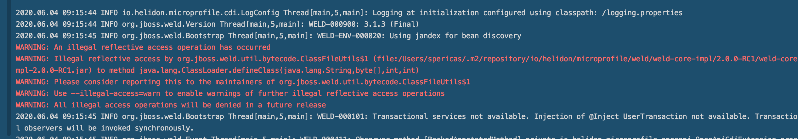 Warning starting MP app · Issue #1930 · helidon-io/helidon · GitHub