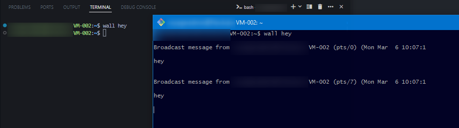 [remote Ssh Bug] `wall` Messages Fail To Appear In Remote Ssh