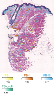 Extracting the spot barcodes of interested cell types after ...