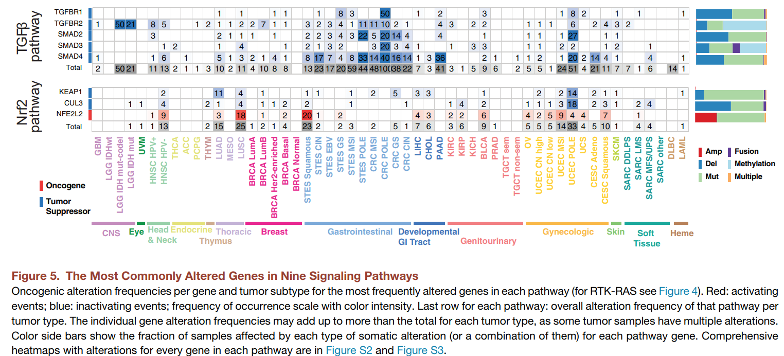 gene alteration types in Oncogenic Signaling Pathways · Issue #656 · PoisonAlien/maftools · GitHub