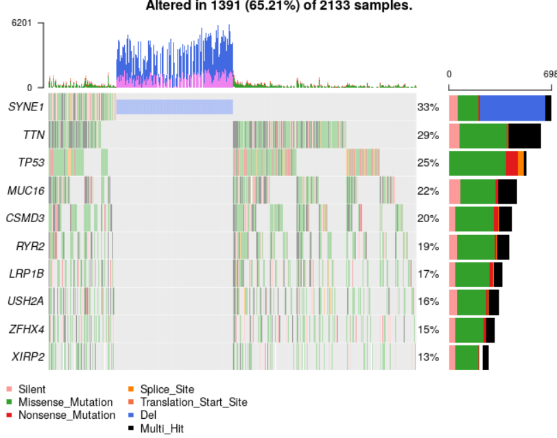 Oncoplot including synonymous(silent) mutation and TMB calculation including synonymous(silent ...