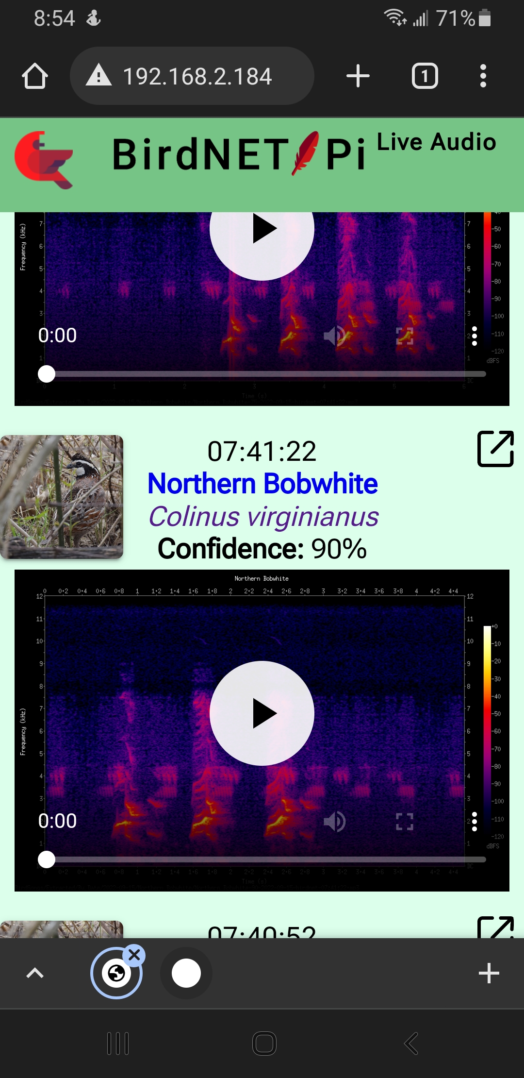 Sharing Your BirdNET-Pi Stuff!!!!!! · Discussion #69 · mcguirepr89 ...