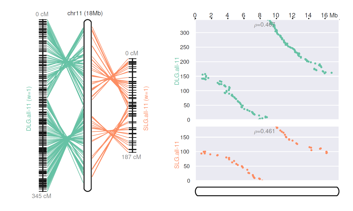 Why The 3ddna Results Were Not Consistent With My Genetic Linkage Map 