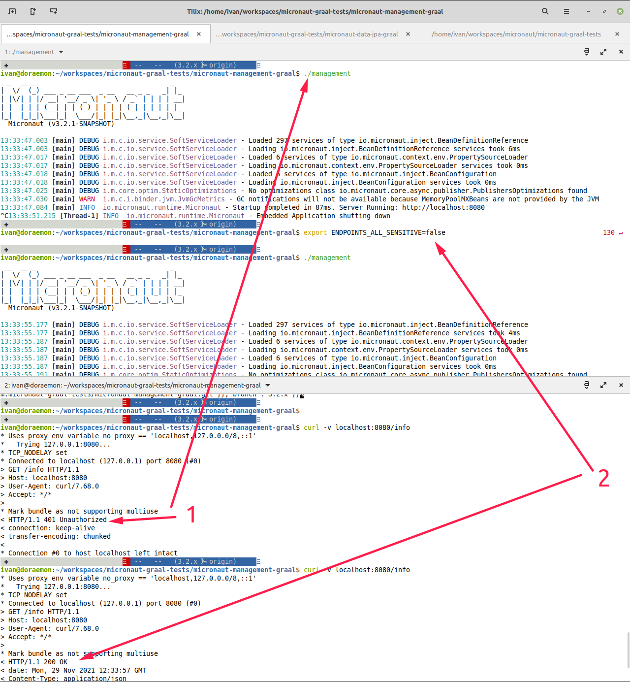 The `reflect-config.json` file isn't generated if the `io.micronaut.application` plugin is ...