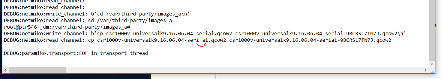 Netmiko adds space or '/n' to read_channel in Juniper Junos bash ...