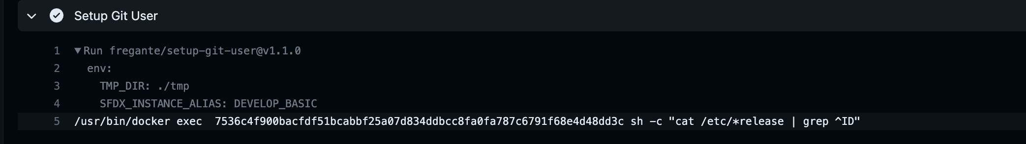 v2.0.1 inside a container throws fatal: not in a git directory · Issue #13 · fregante/setup-git ...