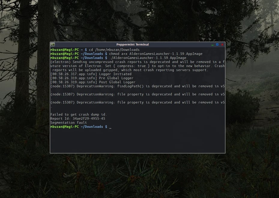 Launcher .AppImage not working (Linux) · Issue #83 · Alderon-Games/alderongames-launcher-bugs ...
