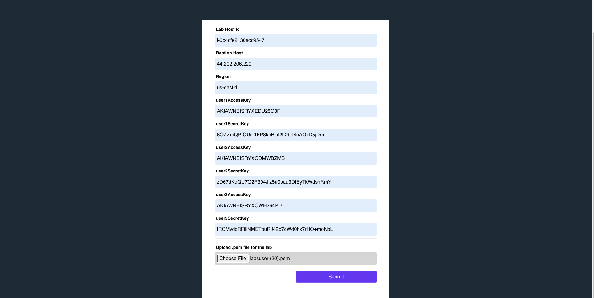 GitHub - KyleRessLiere/AWS-Lab-Solver