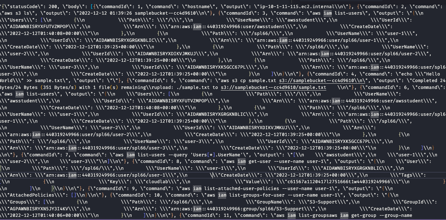 GitHub - KyleRessLiere/AWS-Lab-Solver
