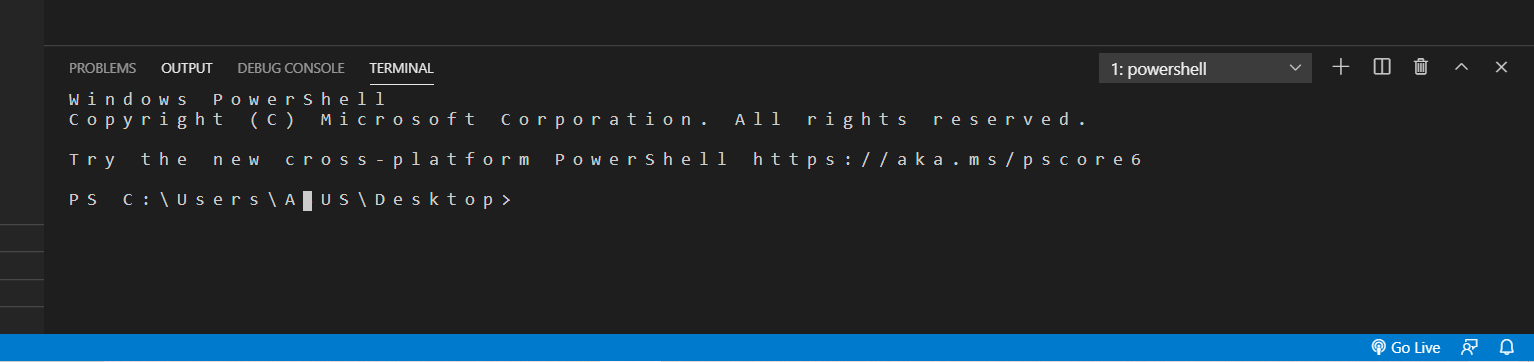 Terminal is acting weired, there is a spce between each character, cursor is not at right ...