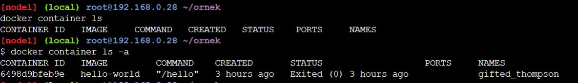 GitHub - beyzanurgunes1/Docker-Notlarim