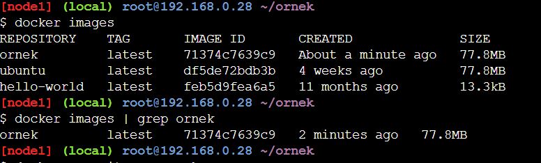 GitHub - beyzanurgunes1/Docker-Notlarim