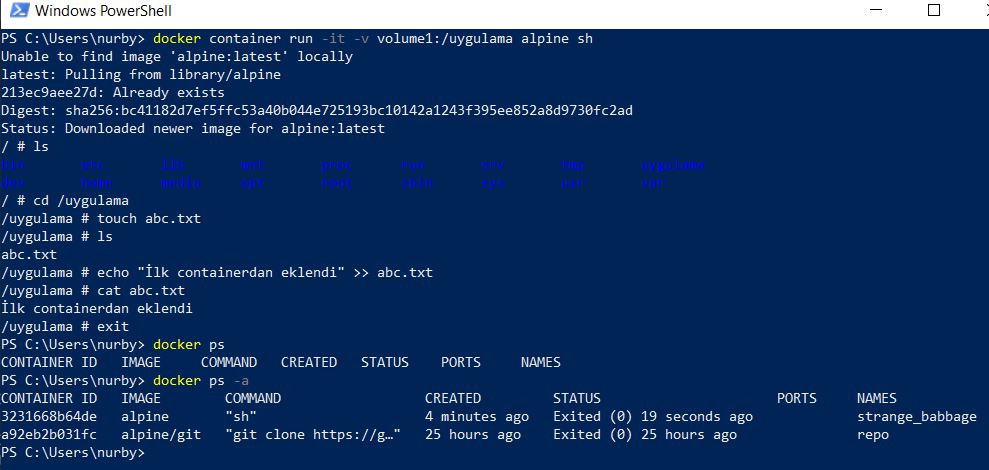 GitHub - beyzanurgunes1/Docker-Notlarim
