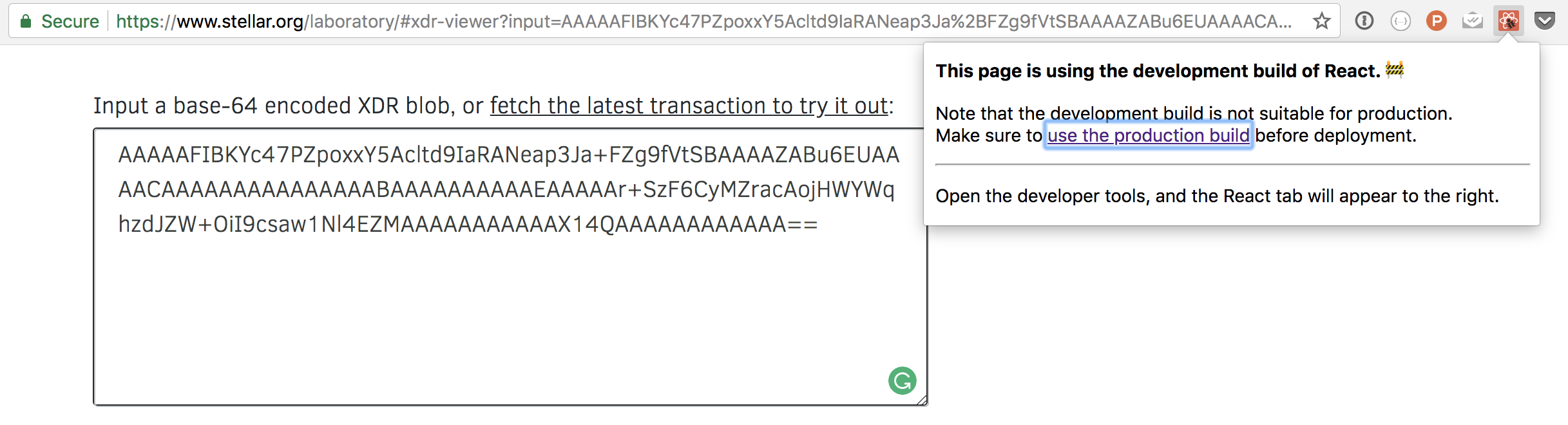 Stellar Laboratory is running in development mode · Issue #319 · stellar/laboratory · GitHub