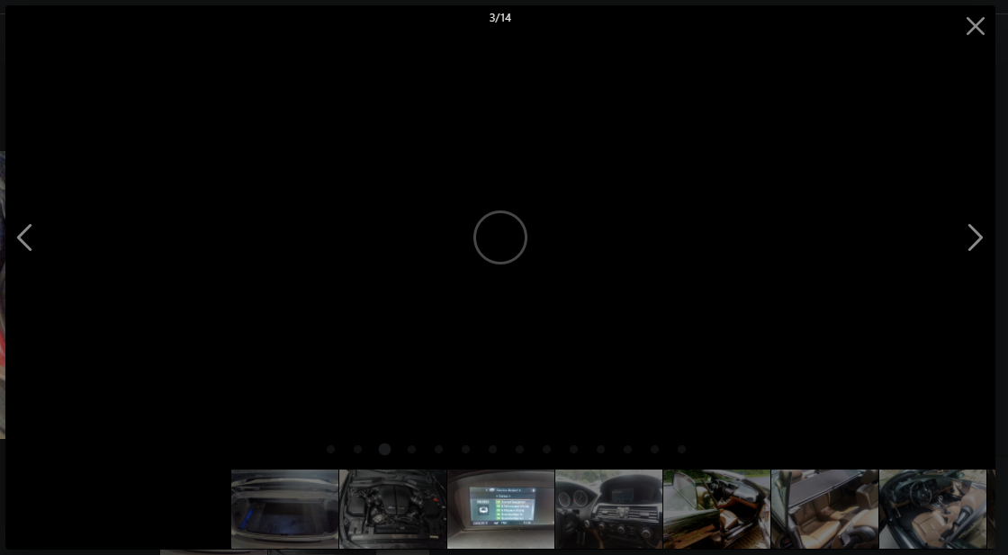Gallerzie image not displayed · Issue #402 · MurhafSousli/ngx-gallery ...