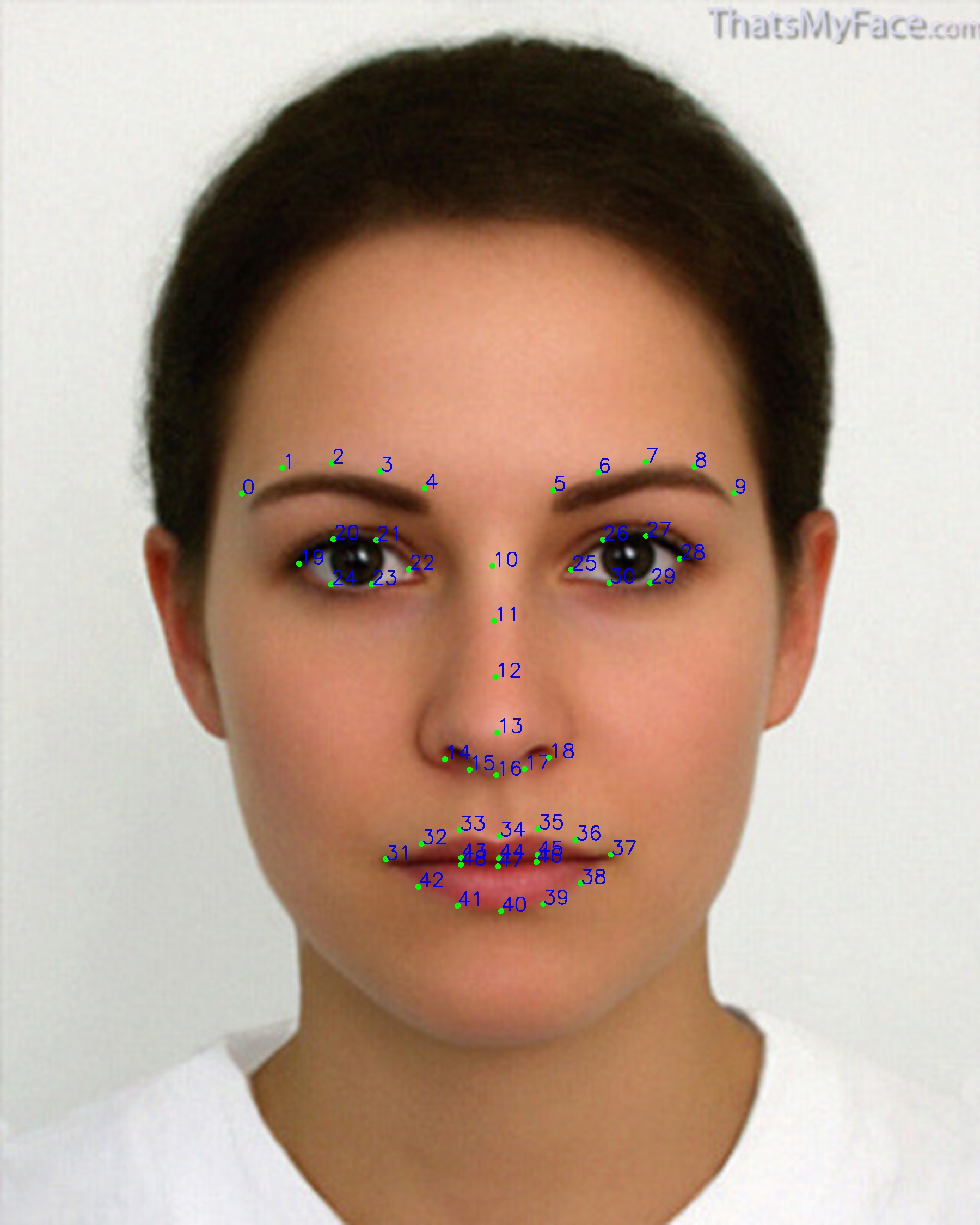 [Question] landmarks order in lmk_3d · Issue #4 · Rubikplayer/flame ...