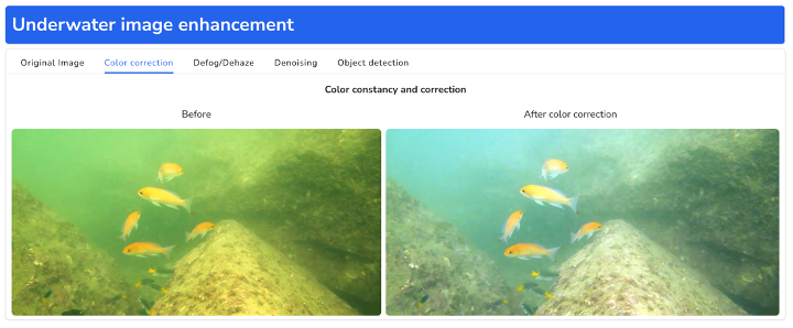 GitHub - Vidushi-Gupta/Underwater-Image-Enhancement: Major project for ...