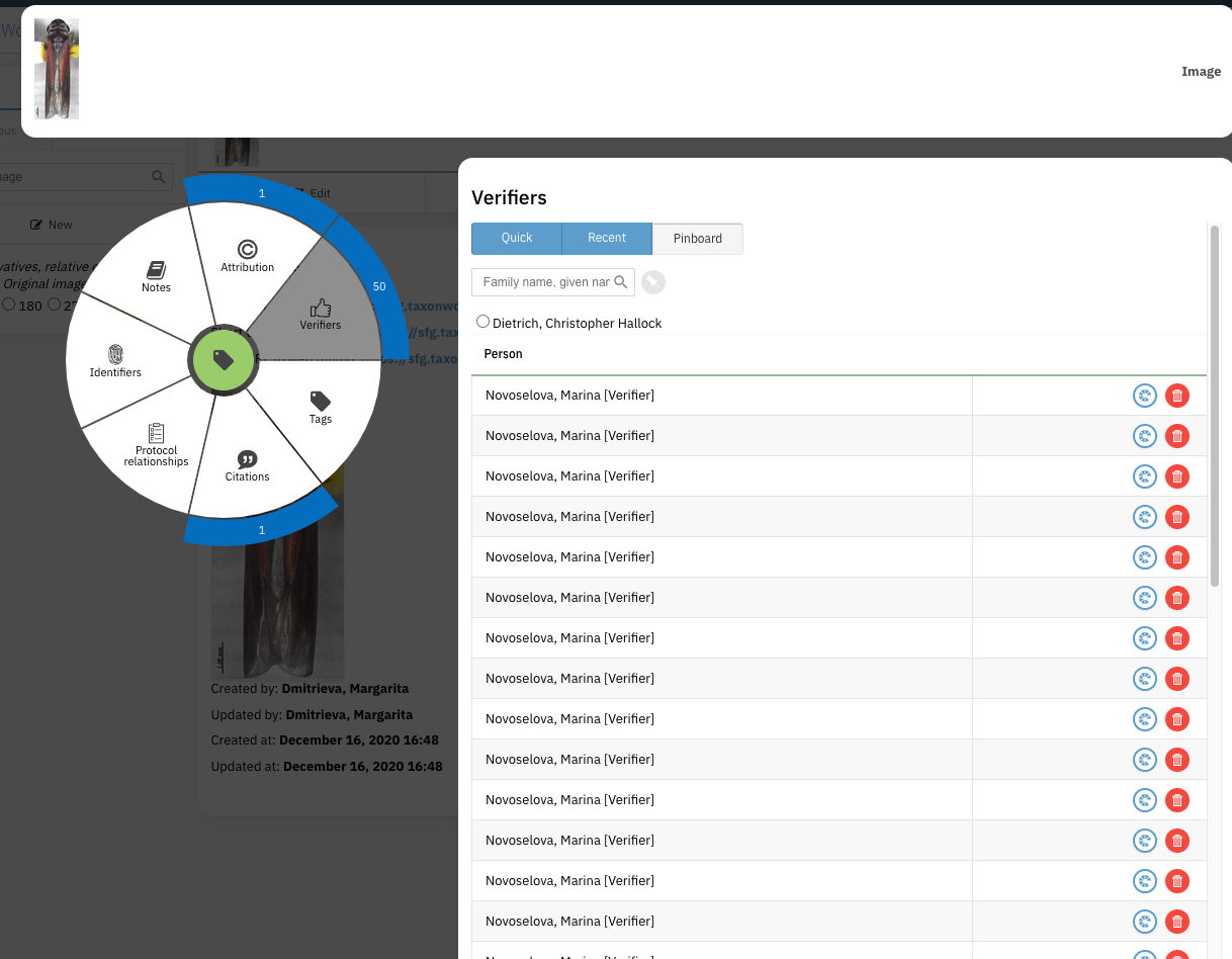 Radial - Verifiers - Not properly scoped to the object · Issue #3514 · SpeciesFileGroup ...