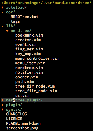 Option to change the default indent size · Issue #848 · preservim/nerdtree · GitHub