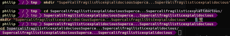 Directories / folders with long names break Powerline when entering them with a terminal that is ...