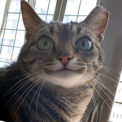 [Bug]: [Controlnet 1.1] The use of normal maps in Inpaint mode is not ideal. · Issue #983 ...