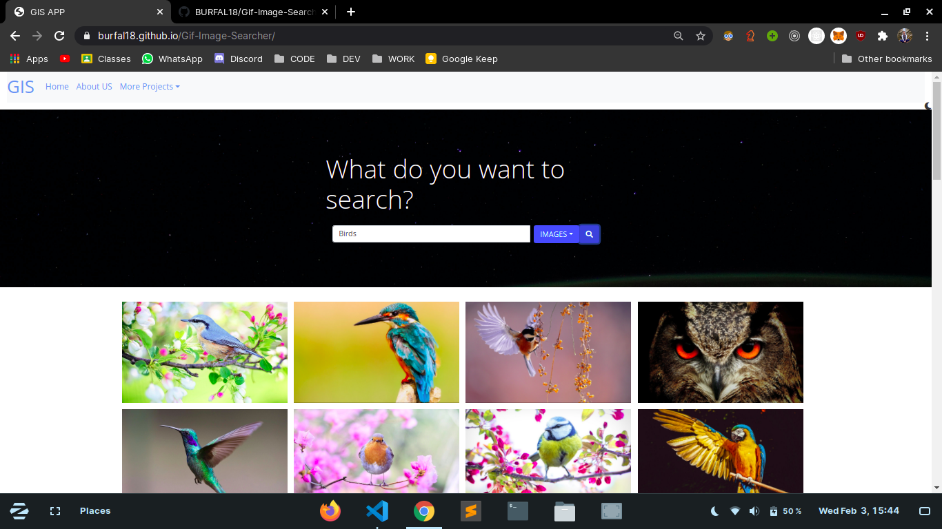 GitHub - BURFAL18/Gif-Image-Searcher: Gif and Image searcher app