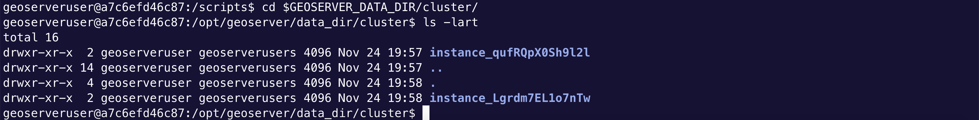 RANDOMSTRING and INSTANCE_STRING variables are not considered in the cluster configuration ...
