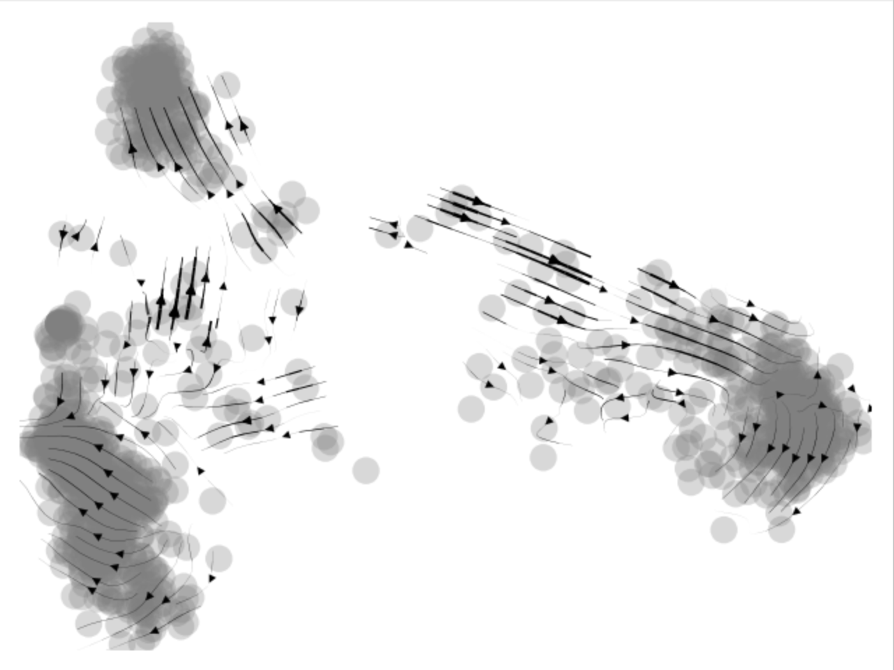why my adata.obs including Clusters, _X and _Y ? · Issue #176 · theislab/scvelo · GitHub