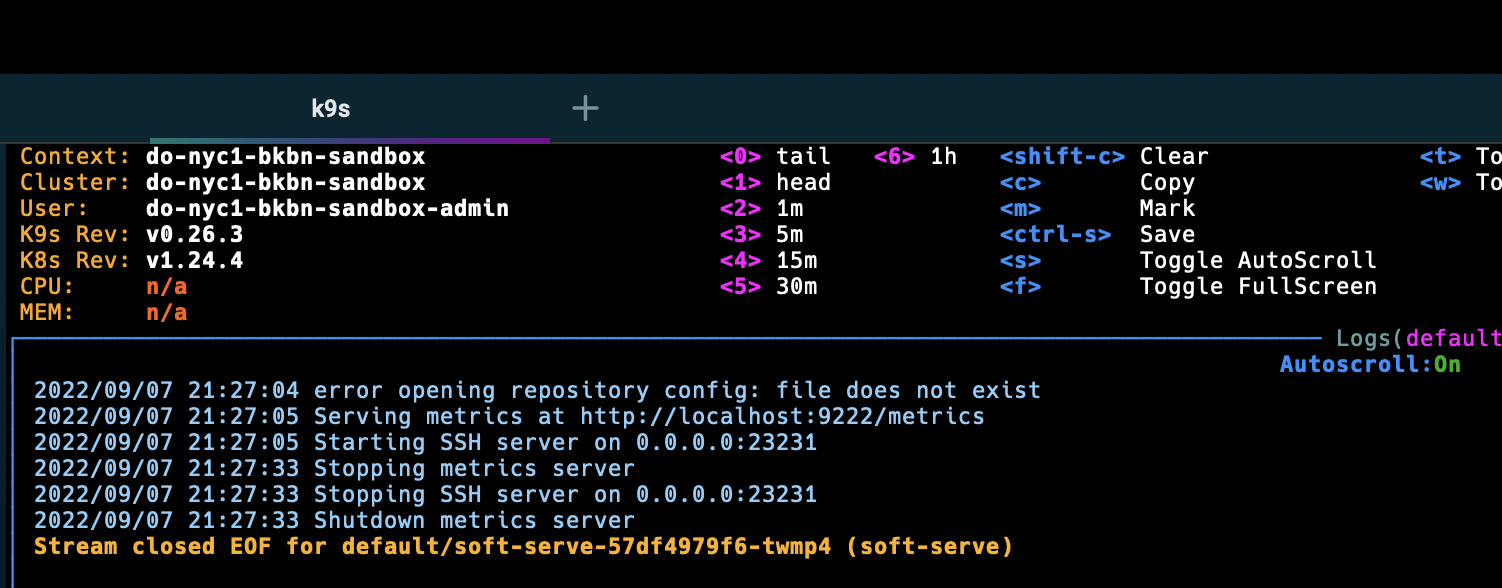 Crash loop on K8 with no stack trace · Issue #159 · charmbracelet/soft-serve · GitHub