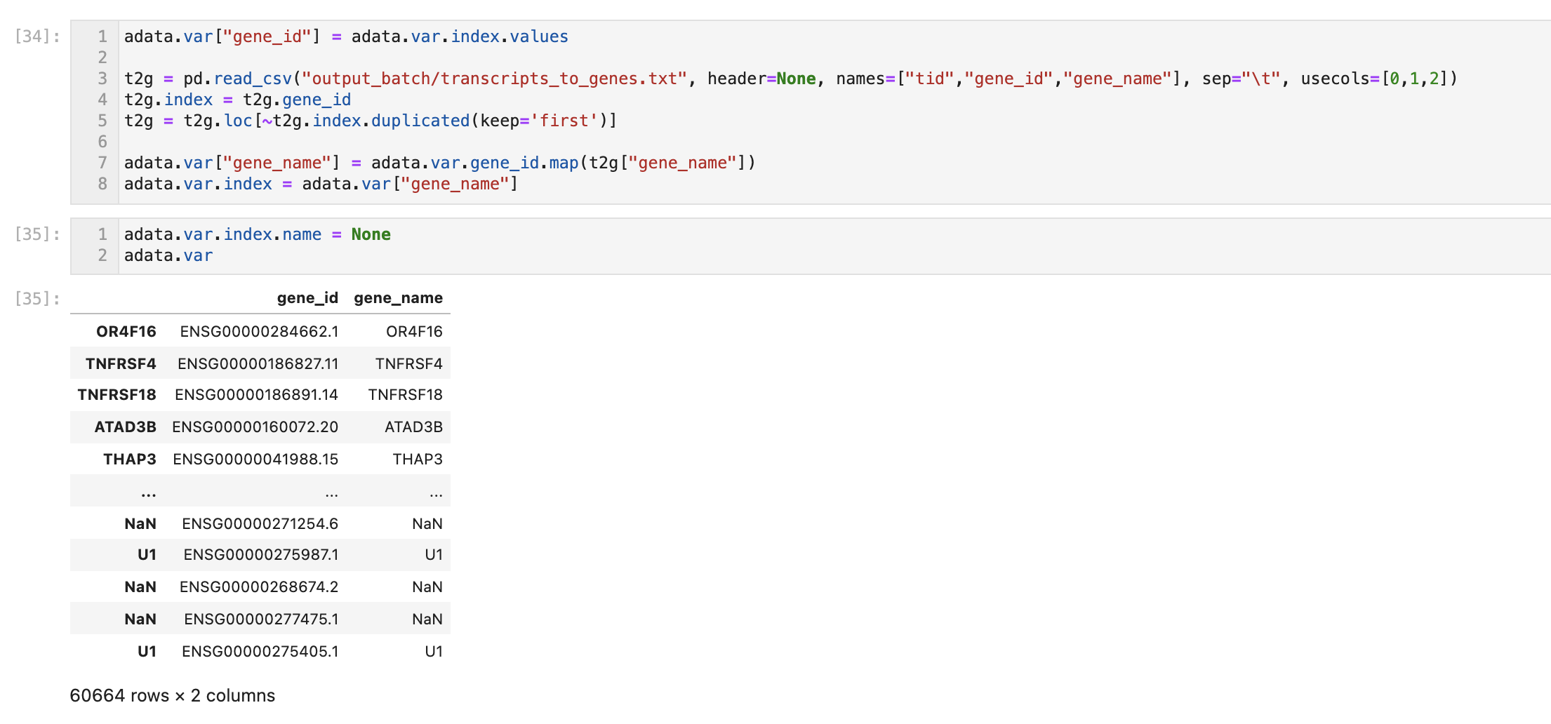 NaN value for Ensembl gene_id without gene names · Issue #144 · pachterlab/kb_python · GitHub