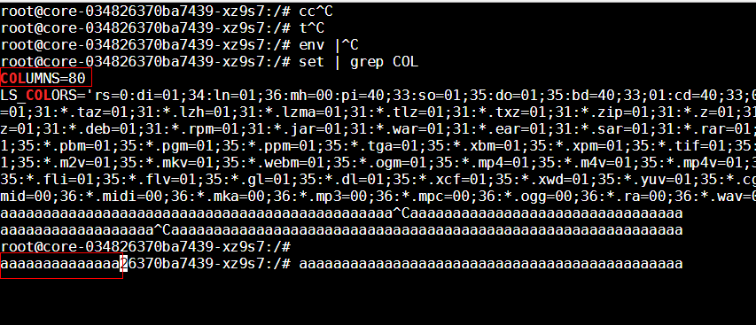 Wrapping of a long line makes the console display chaotic · Issue #207 · yudai/gotty · GitHub