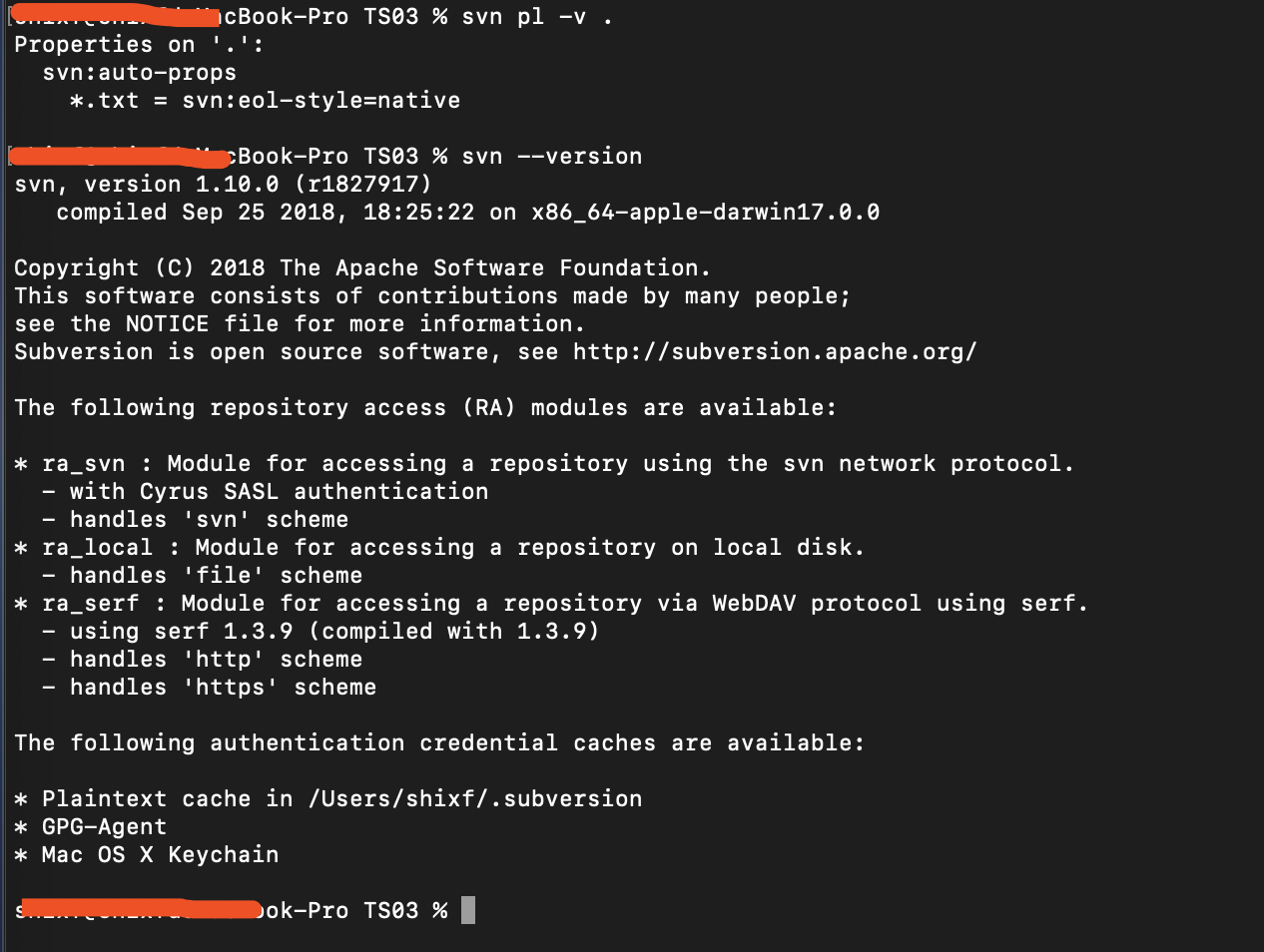 Giteacommand Execution Error Svn E165001 Invalid Svn Properties On Files · Issue 330 · Git