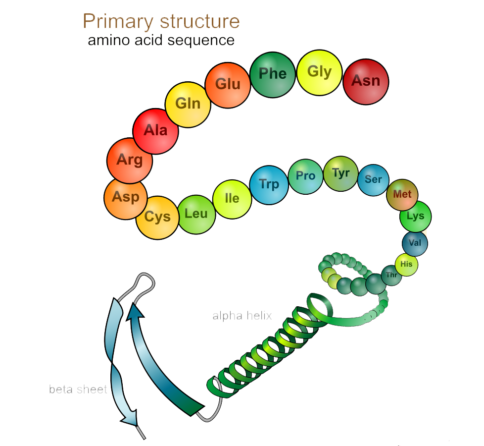 GitHub - abishek269/Protein-Super-family-Classification-