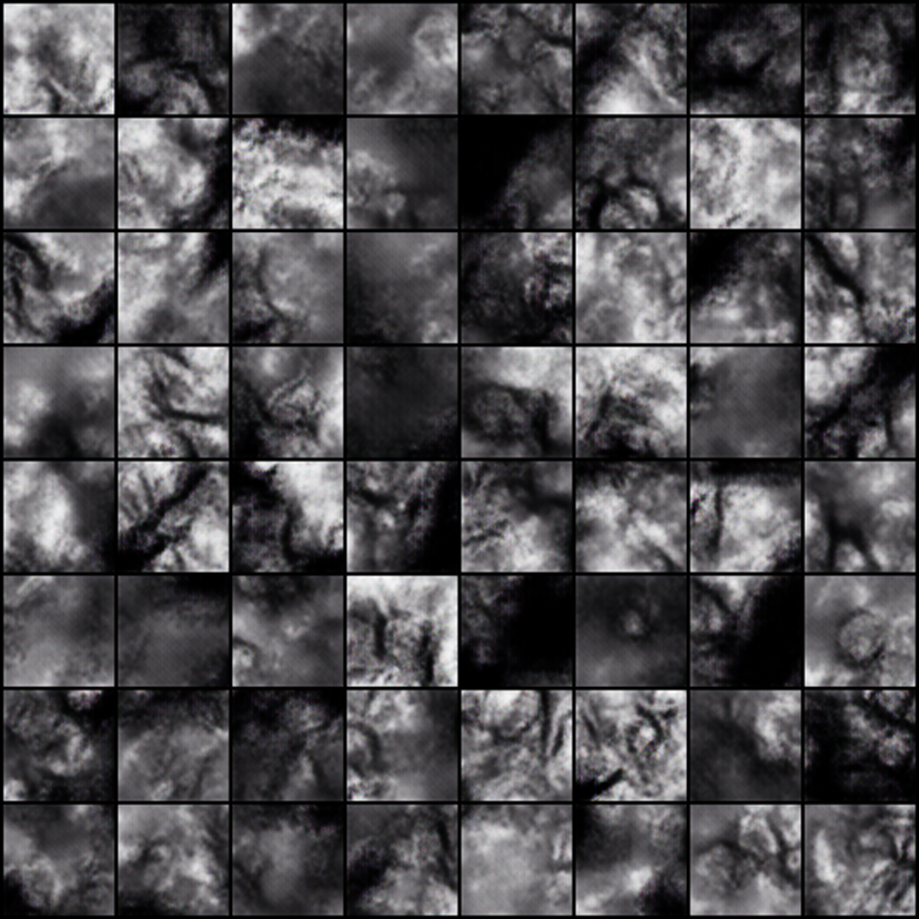 GitHub - LipChuanSui/ai-driven-heightmaps-with-gan: Use GANs to ...