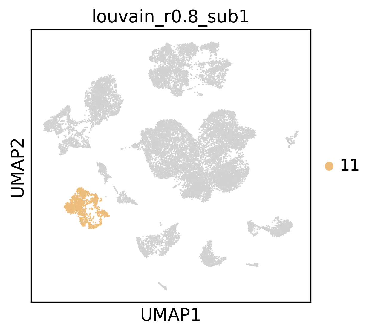Distorted UMAP aspect ratio in certain adata subsets · Issue #1141 ...