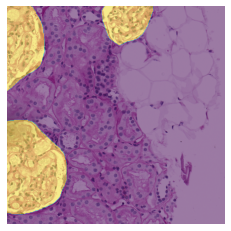 GitHub - WOE-Y/openmmlab