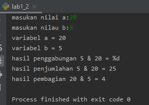 GitHub - kannahs/lab1_2