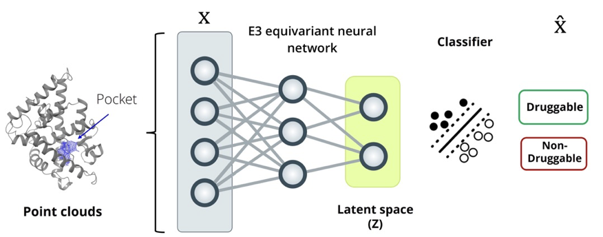 GitHub - acorrochanon/Protein-s-pockets-shape: Master thesis project ...
