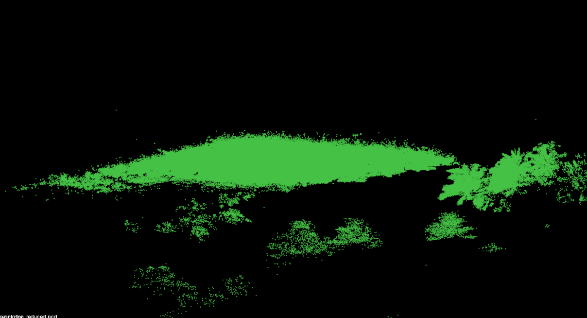 GitHub - tshiamor/plantation: work on pointclouds captured from a plantation