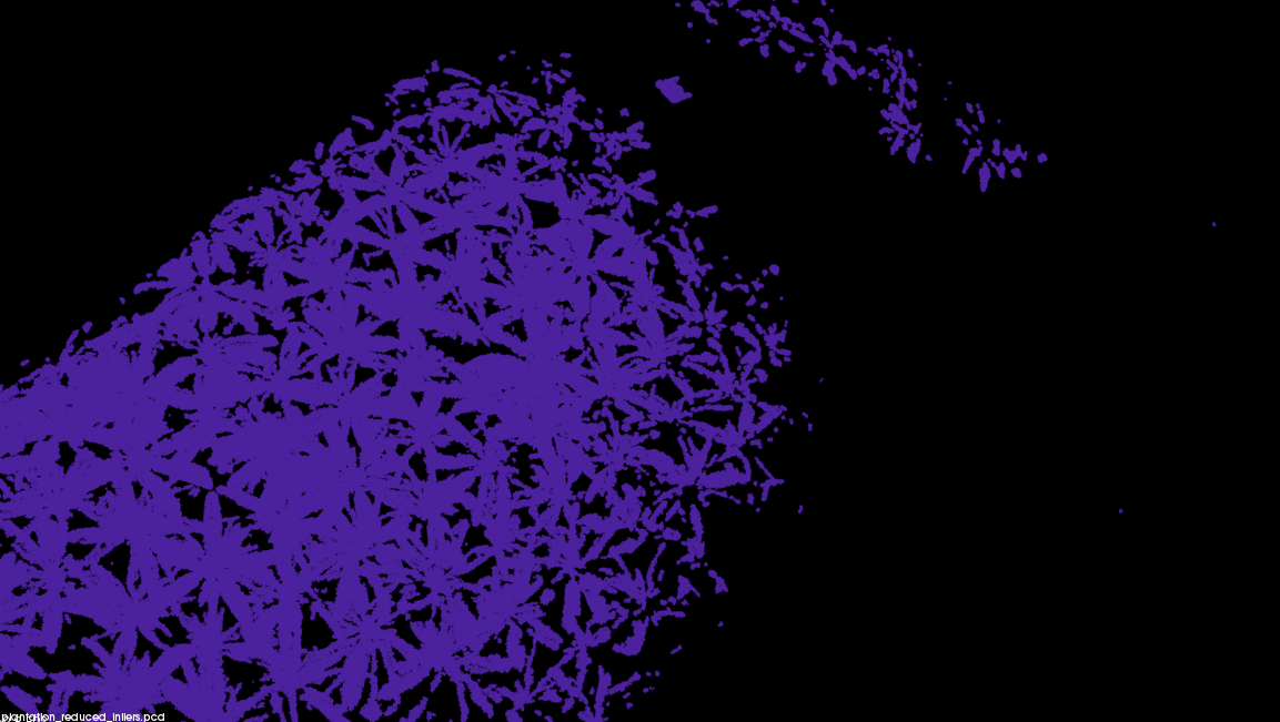 GitHub - tshiamor/plantation: work on pointclouds captured from a plantation